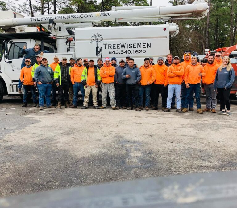 Tree Guardians Expands Its Portfolio into South Carolina with Strategic ...