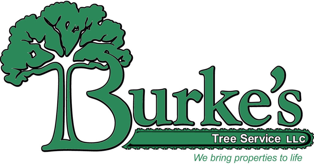 Tree Guardians - Expert Tree and Plant Care Services